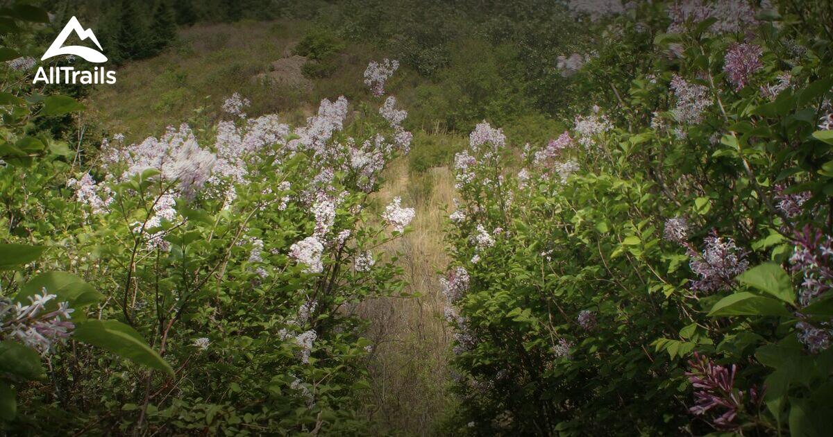 Best views trails in Miaofeng Mountain Scenic Area | AllTrails