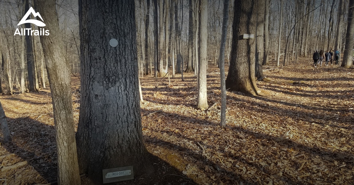 Best Hikes and Trails in Sweet Briar Trail System | AllTrails