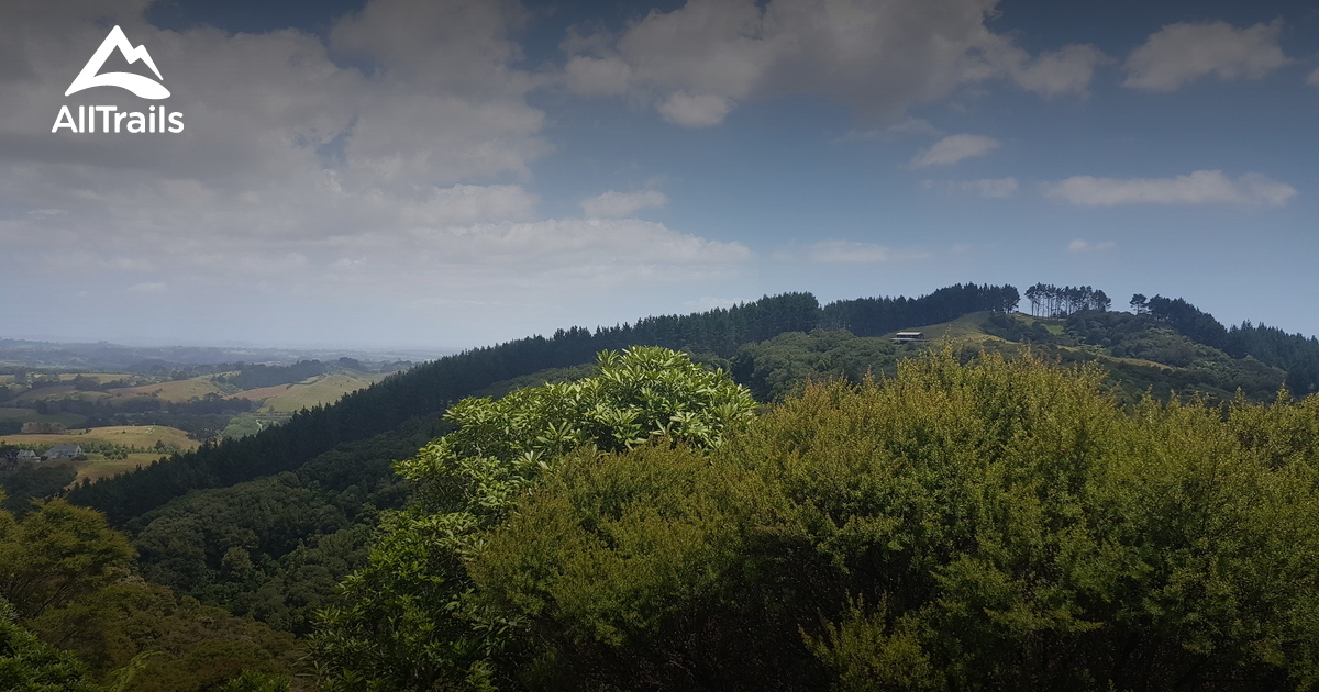 Best hikes and trails in Clevedon Scenic Reserve | AllTrails