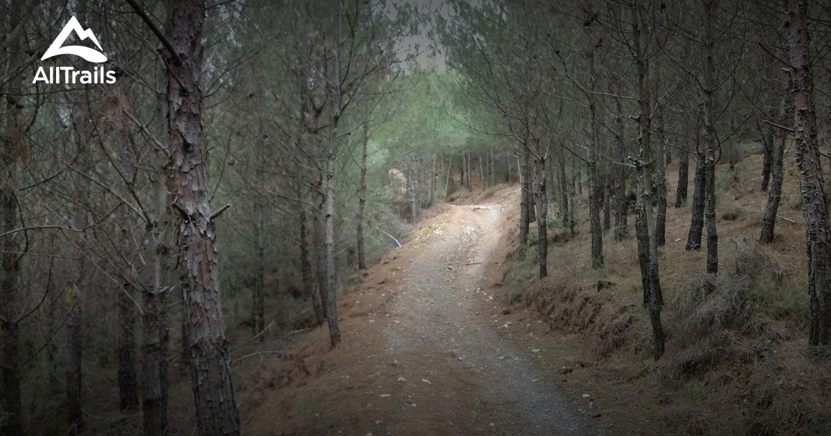 10 Best forest trails in Kedrinos Lofos (Seich-Sou) | AllTrails