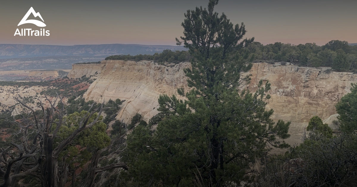 Best hikes and trails in Bull Canyon Wilderness Study Area | AllTrails