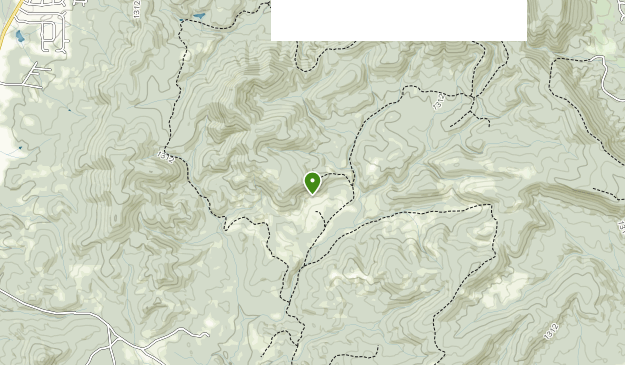 Best Trails in Pine Log Wildlife Management Area - Georgia | AllTrails