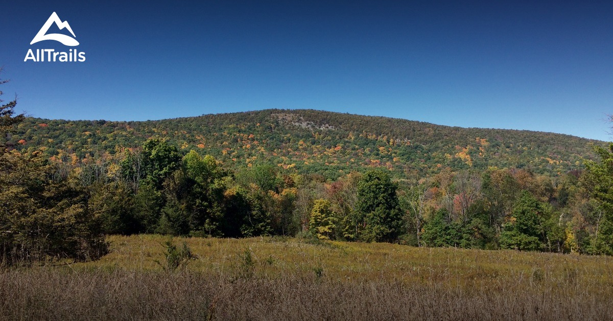 Die Besten Flusswege in Goosepond Mountain State Park | AllTrails