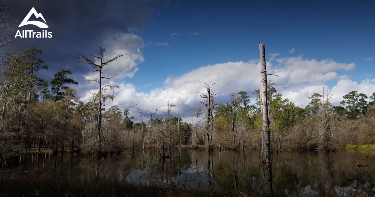 Best hikes and trails in Claiborne Park | AllTrails