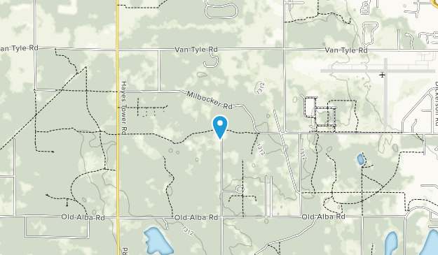 Best Trails in Mackinaw State Forest - Michigan | AllTrails