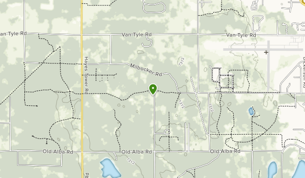 Best Trails in Mackinaw State Forest - Michigan | AllTrails