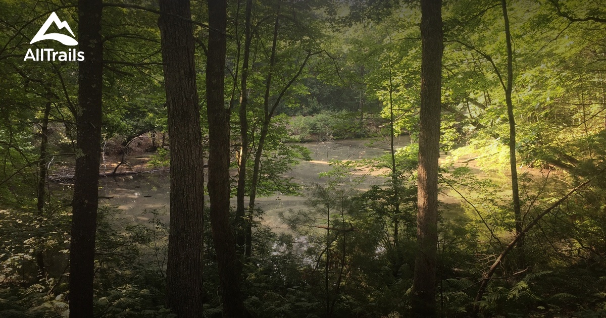 Best hikes and trails in Atkinson Forest Lands and Greens Area | AllTrails