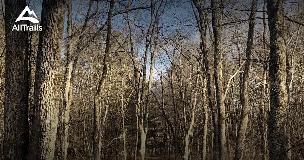 Best hikes and trails in Lewis Farm Bird Sanctuary | AllTrails