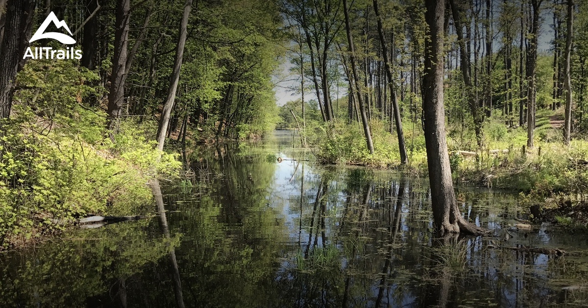 Best hikes and trails in Bowman Conservation Area | AllTrails