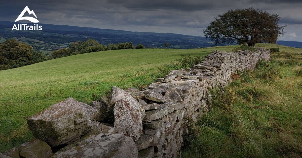 Best hikes and trails in Pontypool Park | AllTrails