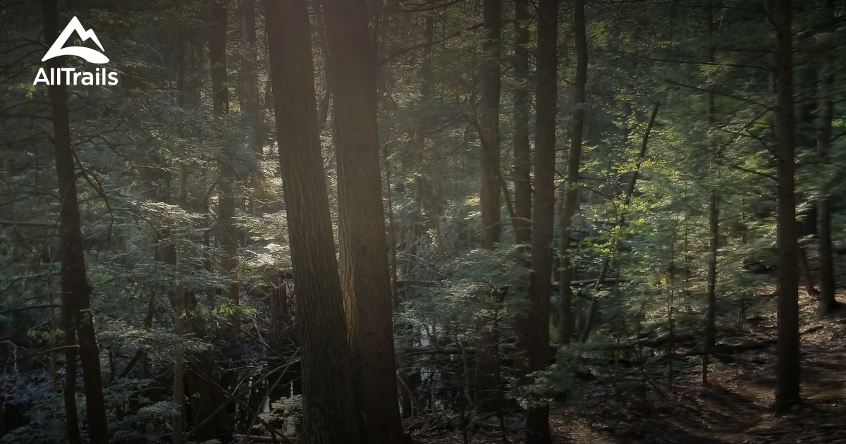 Best hikes and trails in Darby Brook Conservation Area | AllTrails