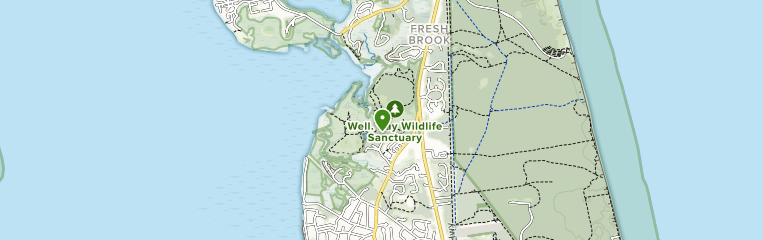 Best Trails in Wellfleet Bay Wildlife Sanctuary - Massachusetts | AllTrails