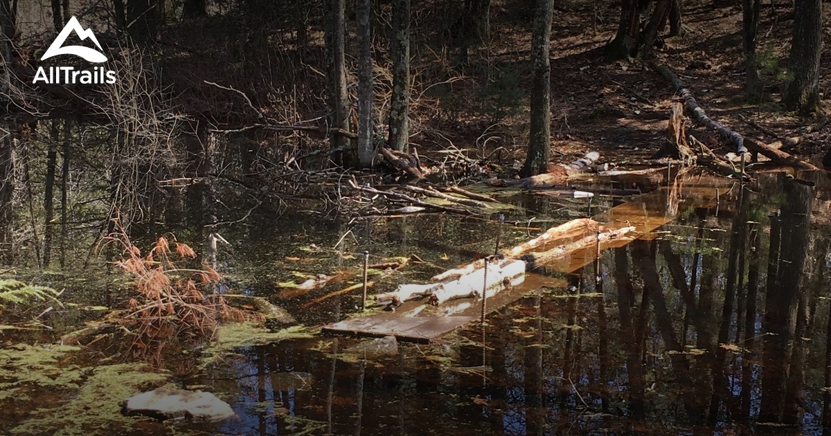 Best Trails in Wildcat Conservation Area - Massachusetts | AllTrails