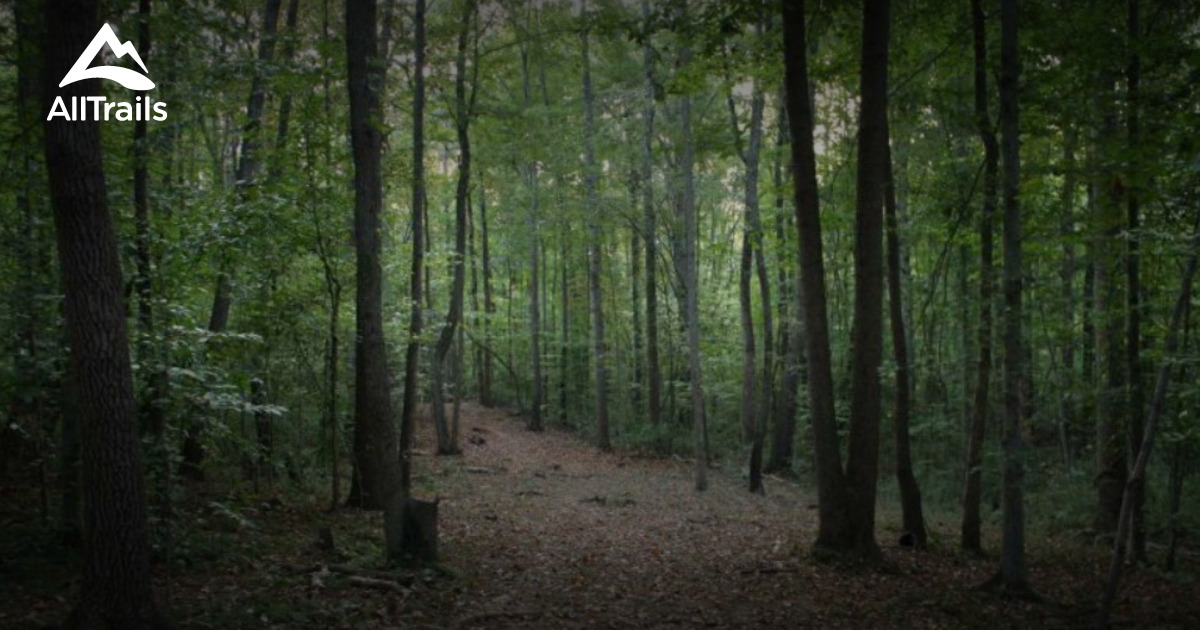 Best hikes and trails in Nevin Park | AllTrails