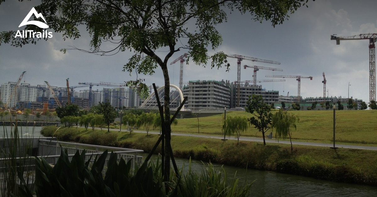 Punggol Waterway Park : les meilleures randonnées avec vue panoramique ...