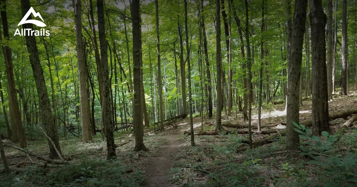 Best Trails in Spring Valley Nature Preserve - Ohio | AllTrails