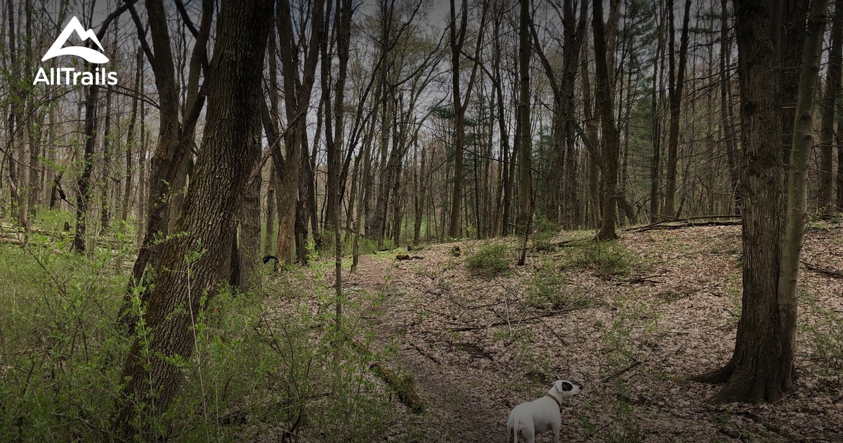 Best hikes and trails in Spring Valley Nature Preserve | AllTrails