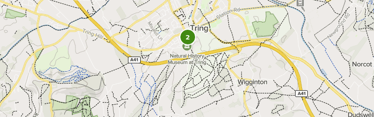 Best trails in Tring Park, Hertfordshire, England | AllTrails