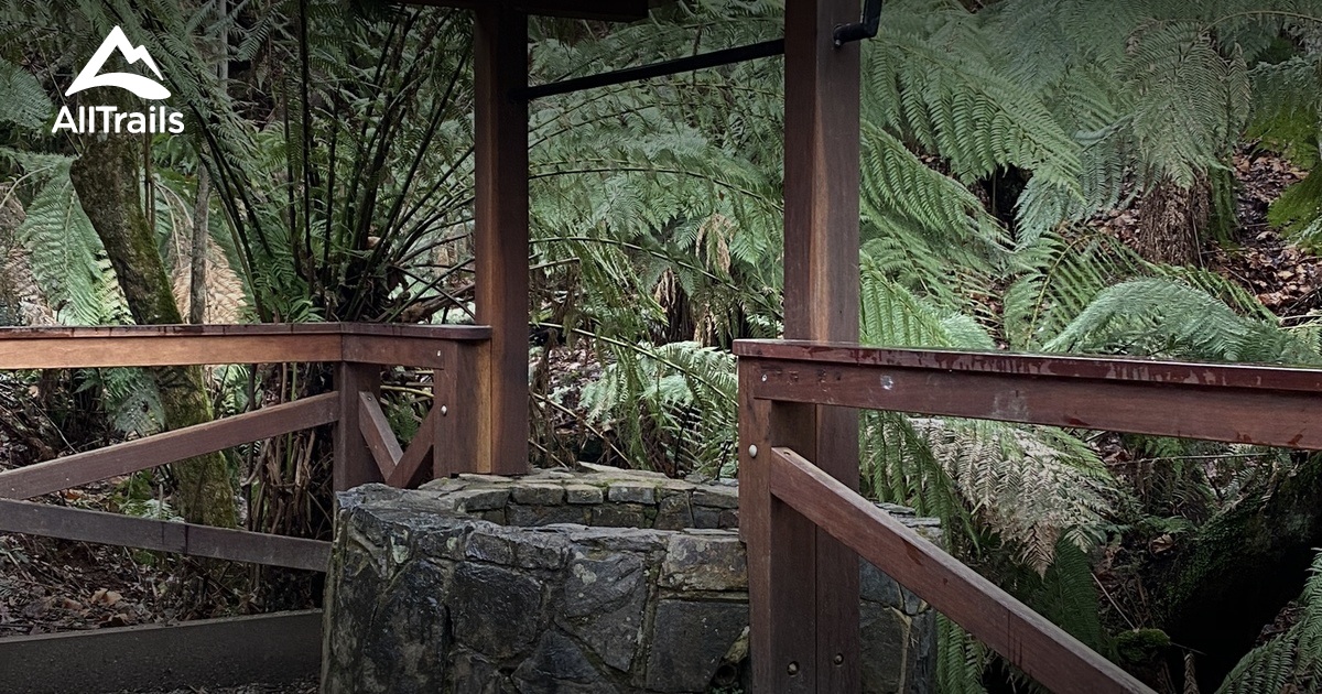 De beste hardlooproutes in Emerald Lake Park | AllTrails