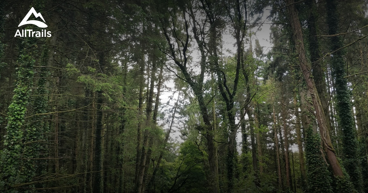 Best hikes and trails in Kilmurray Woods | AllTrails