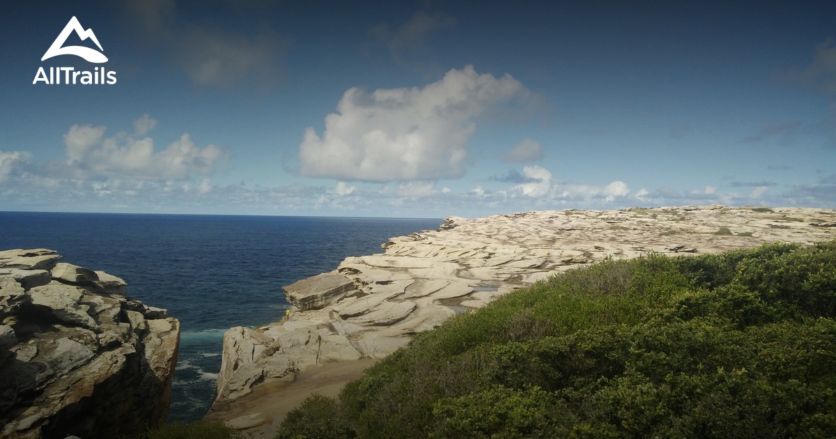 Best hikes and trails in Malabar Headland National Park | AllTrails