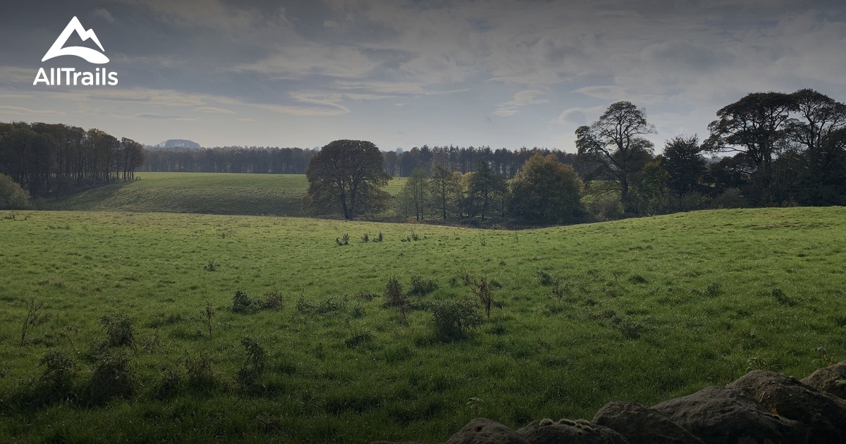 Best trail running trails in Golden Acre Park | AllTrails