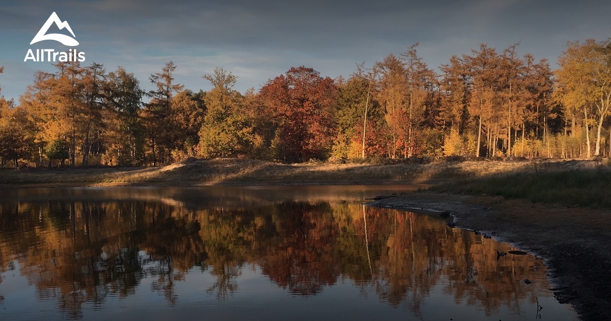 10 Best hikes and trails in Dorst Forest | AllTrails