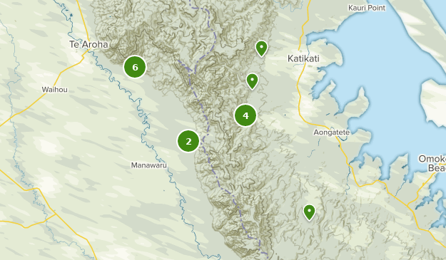 Best Trails in Kaimai Mamaku Conservation Park - Bay of Plenty, New ...