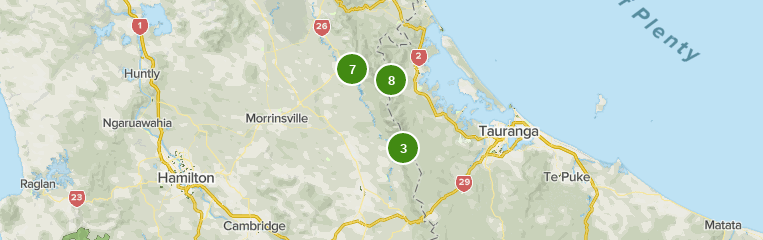 Best Trails in Kaimai Mamaku Conservation Park - Bay of Plenty, New ...