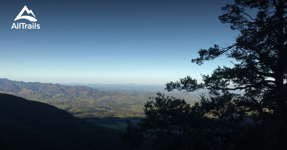 10 Best hikes and trails in Ruahine Forest Park | AllTrails