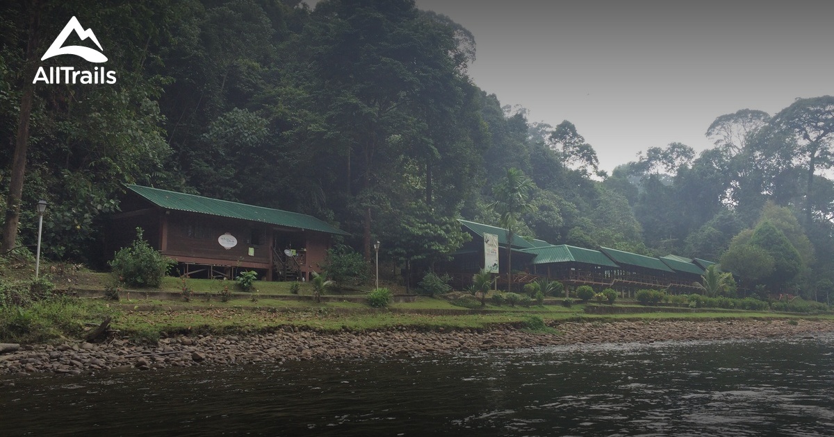 Best Trails in Ulu Temburong National Park - Temburong, Brunei | AllTrails