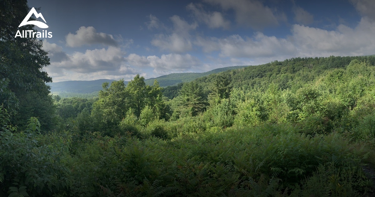 Best hikes and trails in Tyringham Cobble | AllTrails