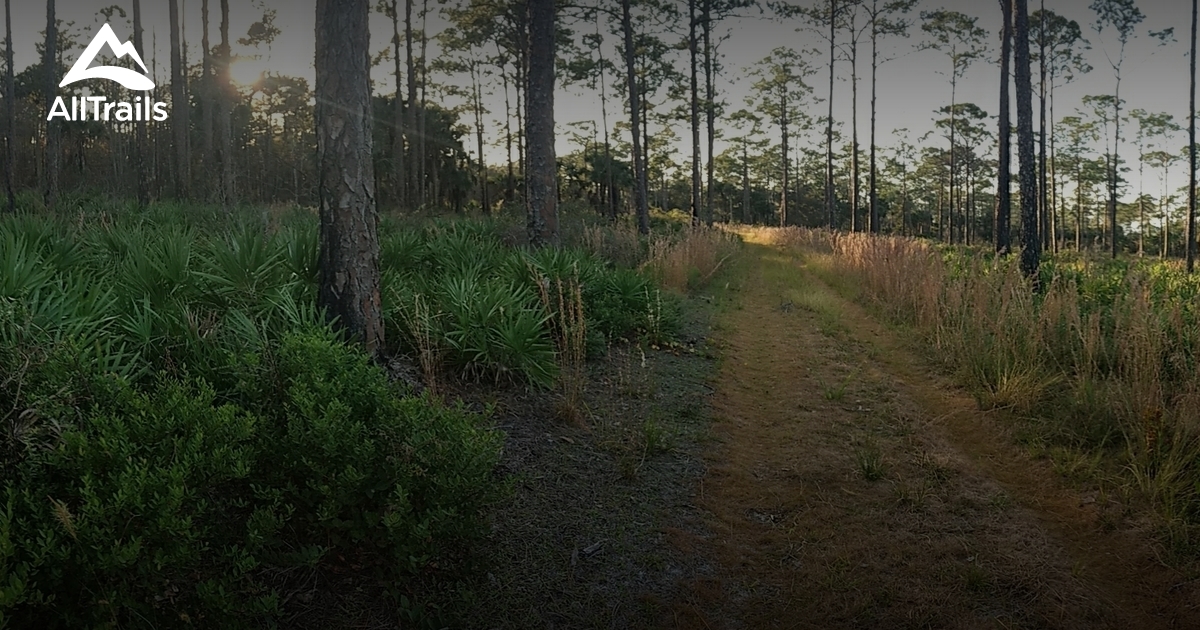 Best trails in Tosohatchee Wildlife Management Area, Florida | AllTrails