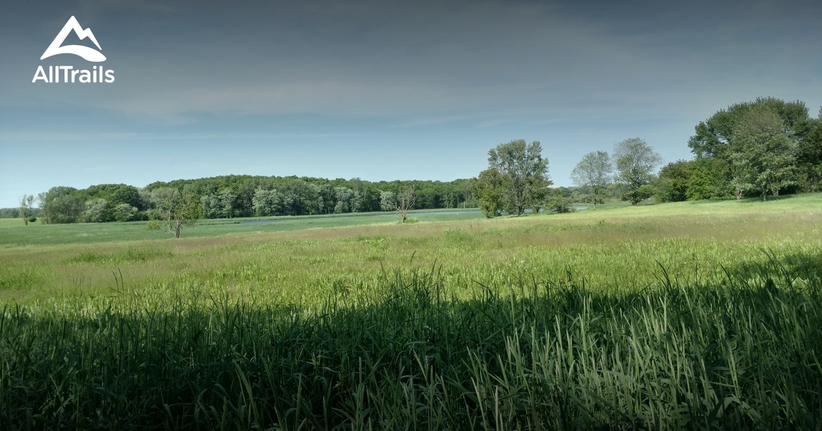 Best Trails in Busse Forest Nature Preserve - Illinois | AllTrails