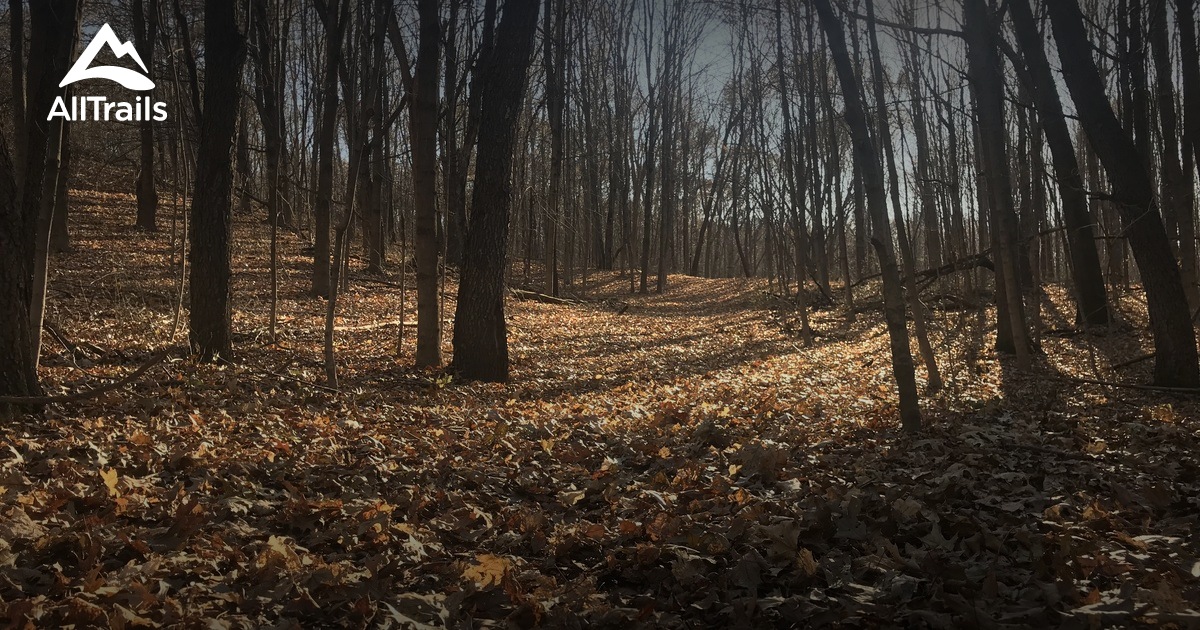 Best hikes and trails in Ortonville State Recreation Area | AllTrails