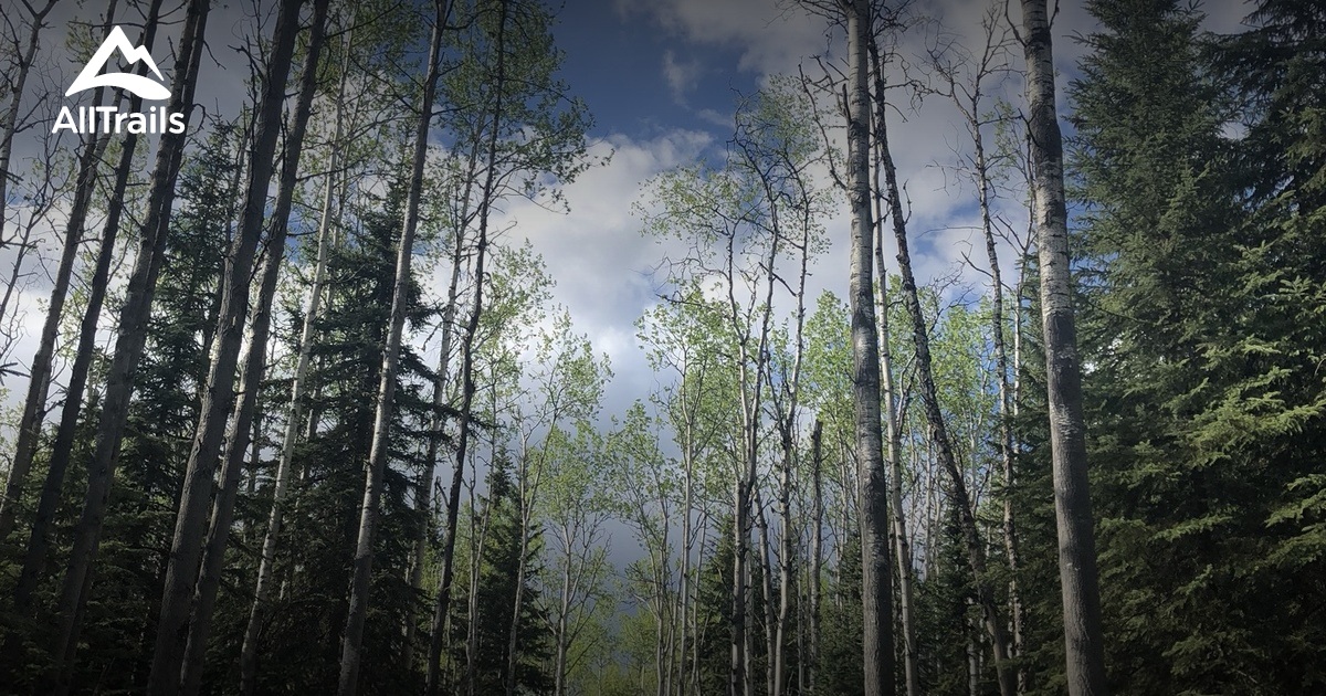 Best walking trails in University of Alaska Fairbanks | AllTrails