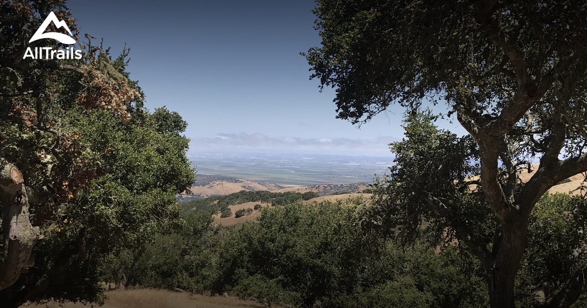 10 Best hikes and trails in Toro Regional Park | AllTrails