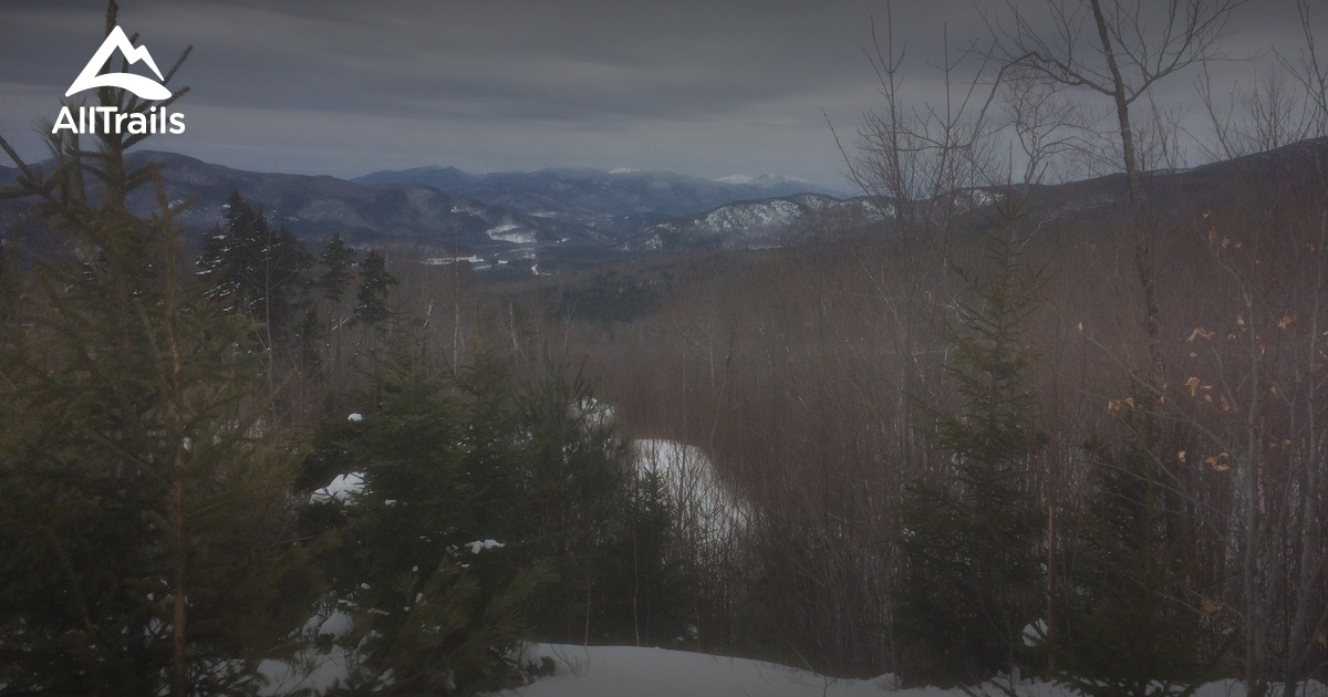 Best hikes and trails in McCoy-Chapman Forest | AllTrails