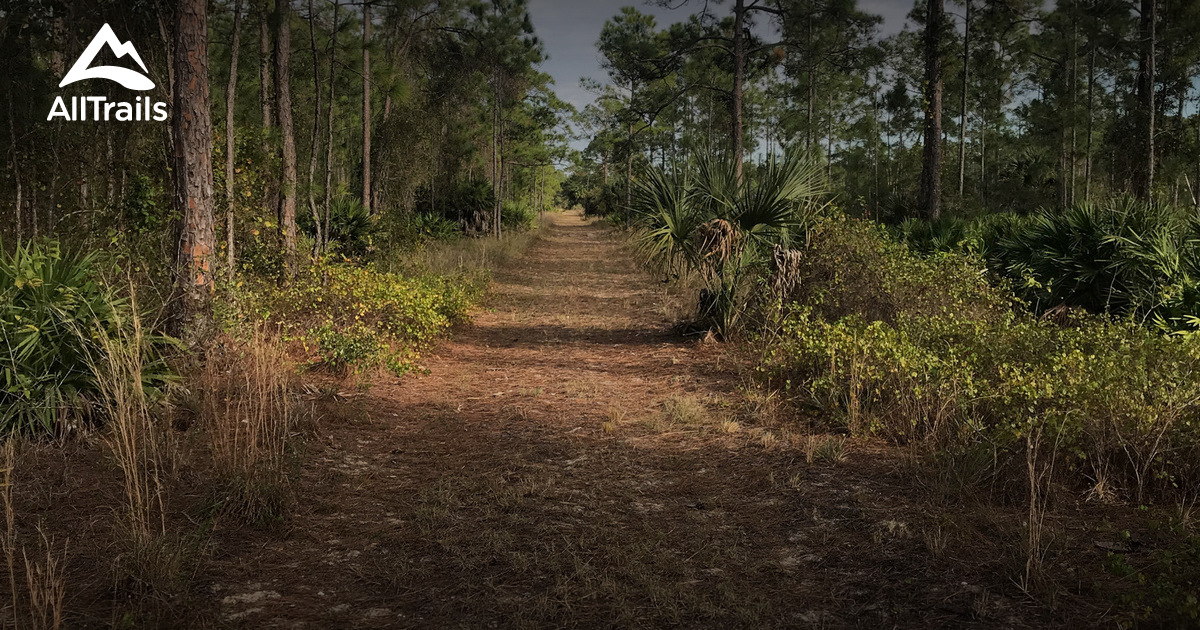 Best hikes and trails in Buckingham Trails Preserve | AllTrails