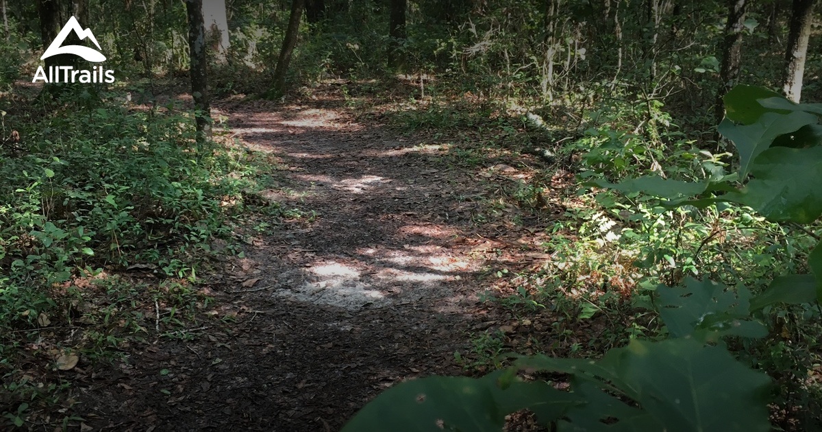 Best hikes and trails in Cofrin Nature Park | AllTrails