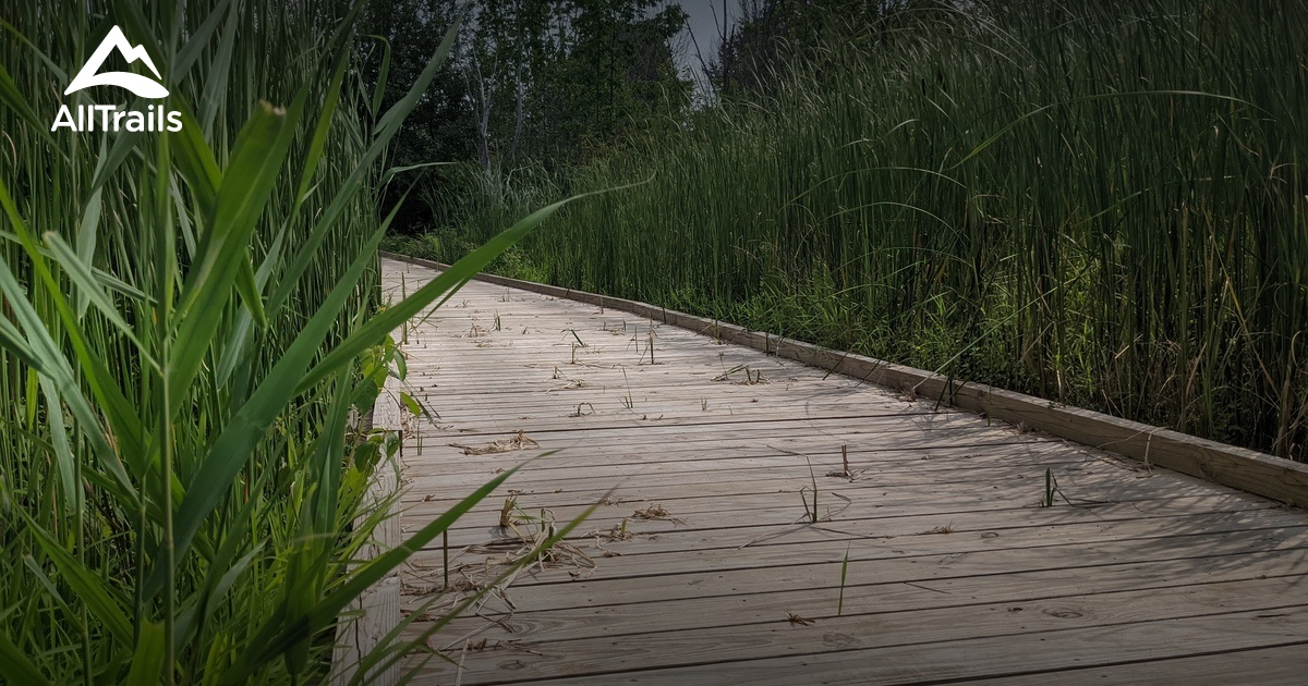 Best hikes and trails in Headwaters Park | AllTrails