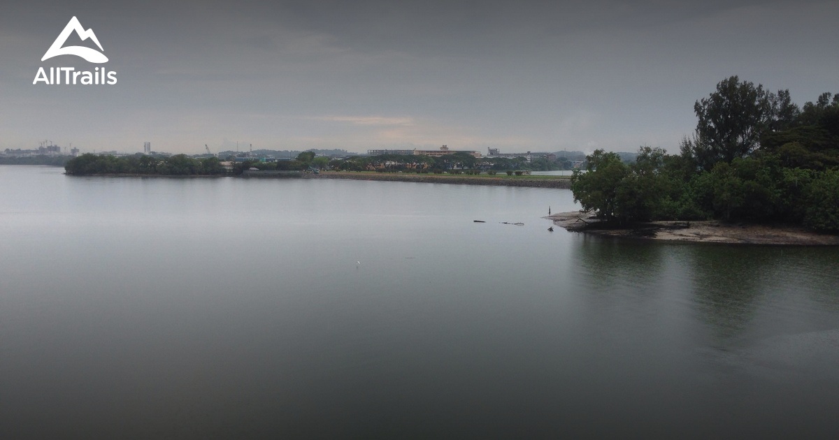 Best wildflower trails in Sungei Buloh Wetland Reserve | AllTrails