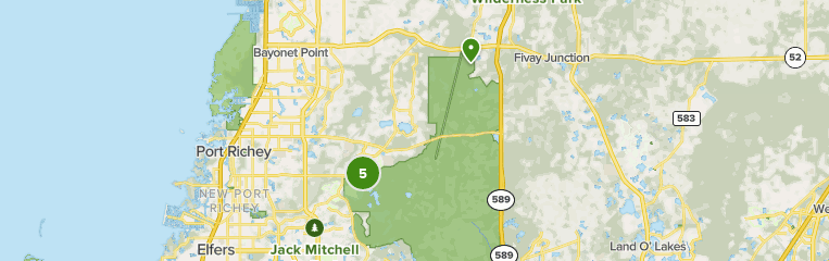Best Trails in Jay B. Starkey Wilderness Park | AllTrails
