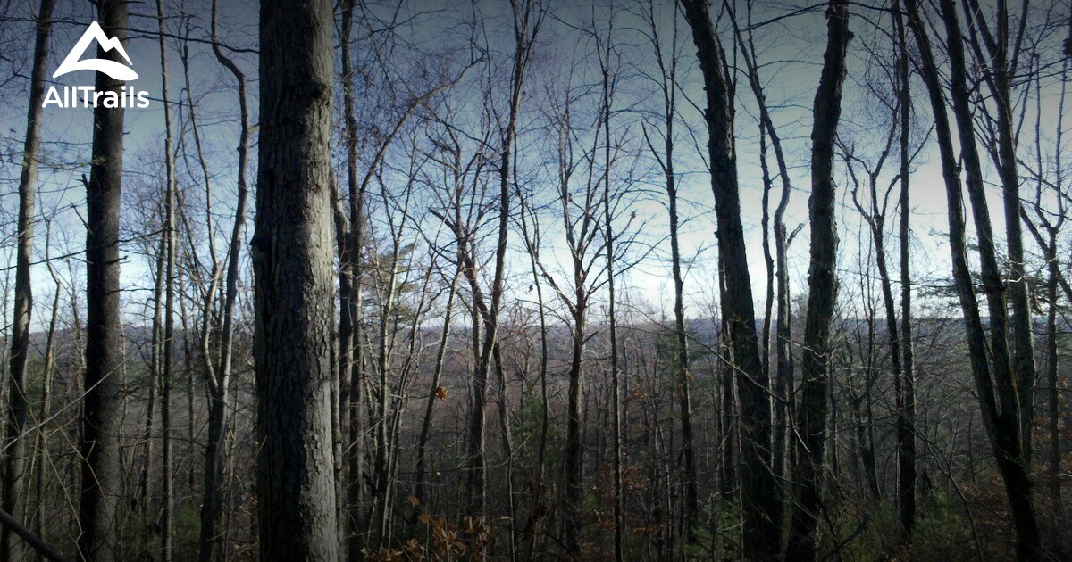 Best hikes and trails in Patch Hill Conservation Area | AllTrails