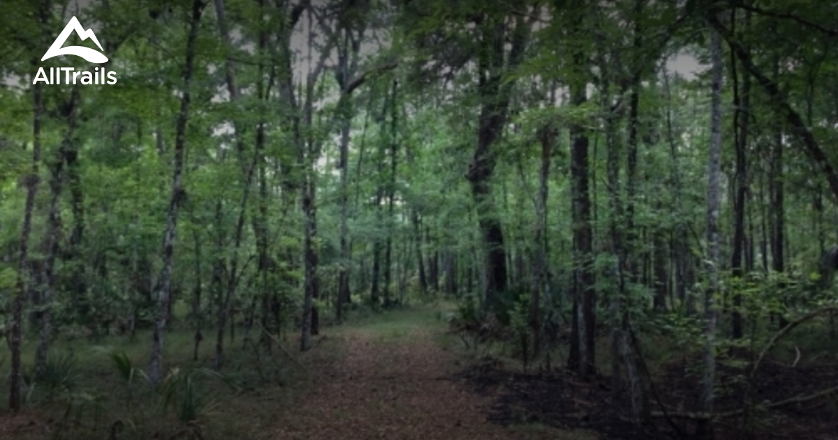 Best Trails in Half Moon Wildlife Management Area - Florida | AllTrails