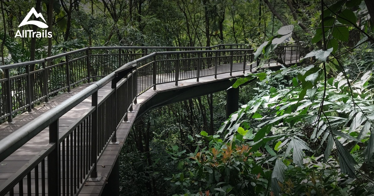 Best Trails in Kent Ridge Park - Central, Singapore | AllTrails