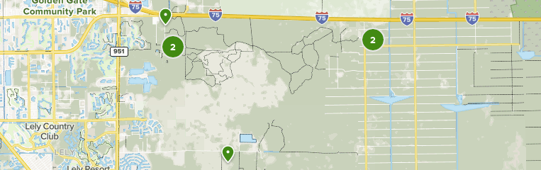 Best Trails in Picayune Strand State Forest | AllTrails