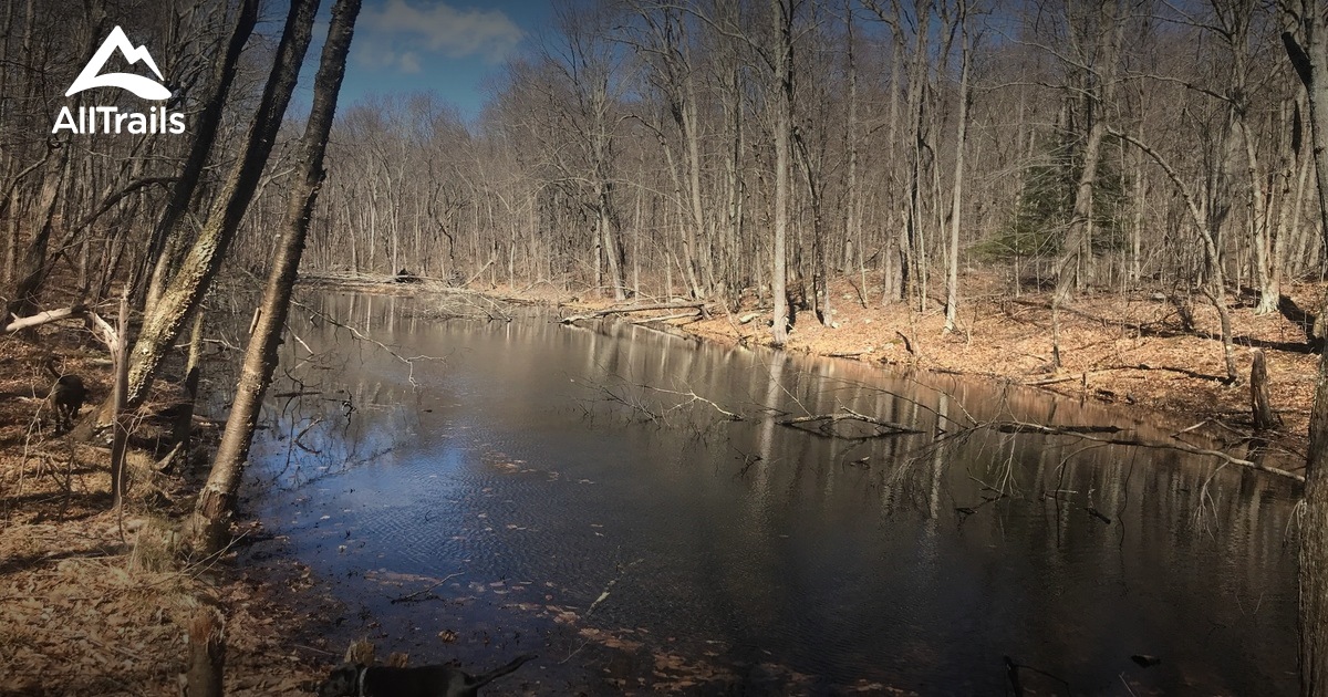 Best hikes and trails in Ivers Preserve | AllTrails