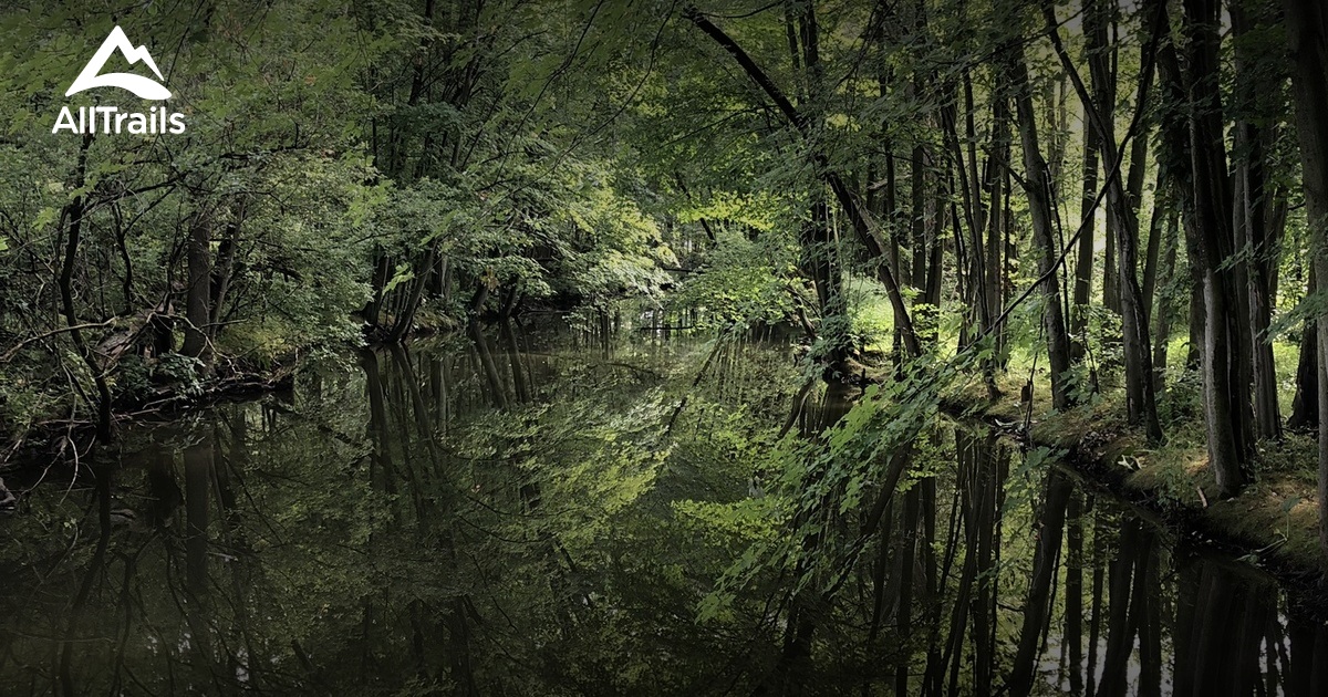 Best hikes and trails in T.J. Dolan Natural Area | AllTrails