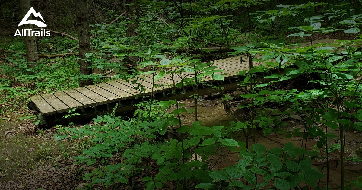 Best hikes and trails in Creemore Nature Preserve | AllTrails